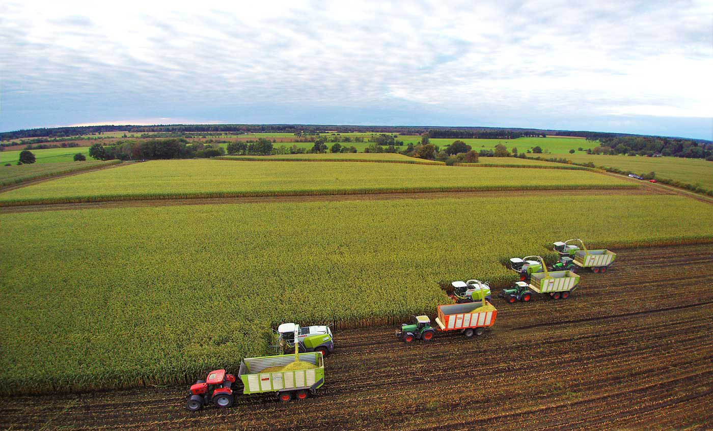 Impressum - Uwe Wulf GmbH