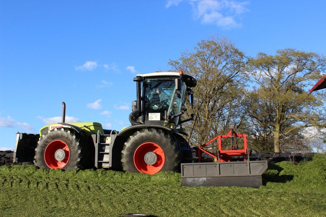 Ernte - Uwe Wulf GmbH