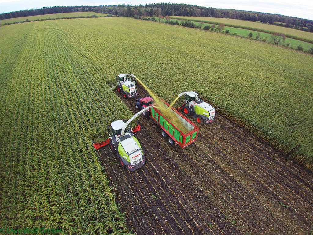 Ernte - Uwe Wulf GmbH